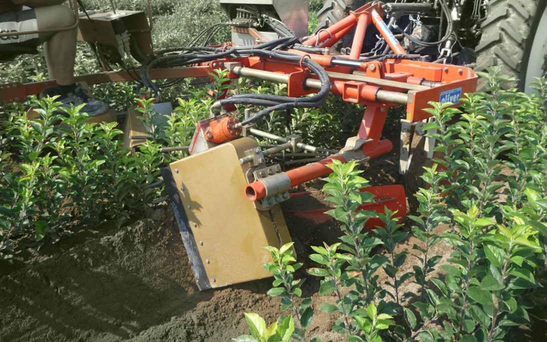 Bed Former - Bed forming Machine - Mod. BXC | Oliver Agro