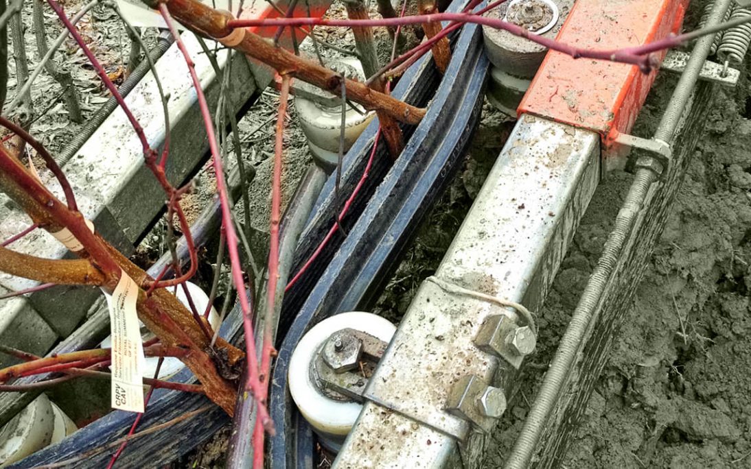 SP96 Harvesting Machine | Oliver Agro